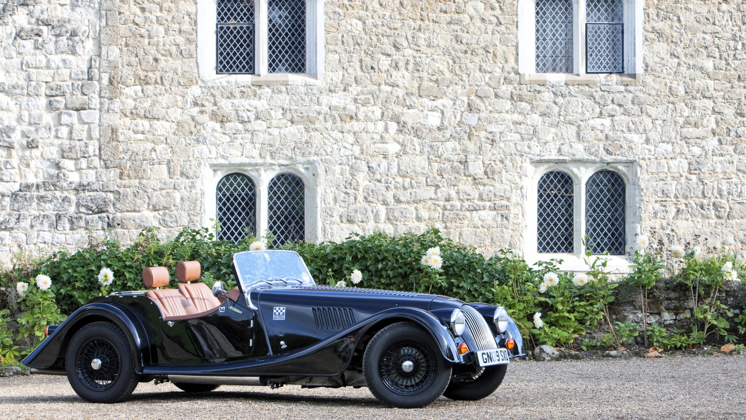 Wake your Morgan up for the Spring… – Morgan Kent