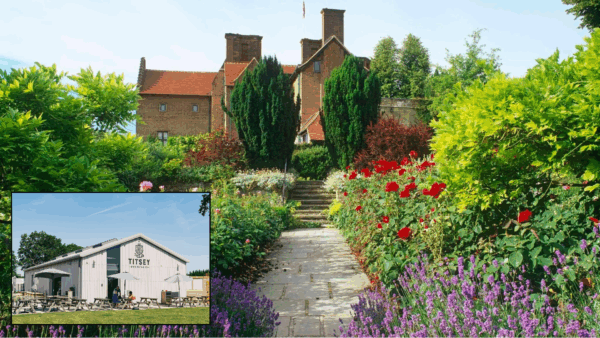 International Morgan Day: Friday 19th September – Morgan Kent